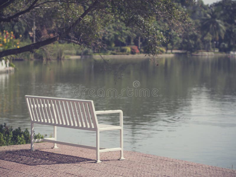 Bench at lake side stock photo. Image of season, reflection - 70615390