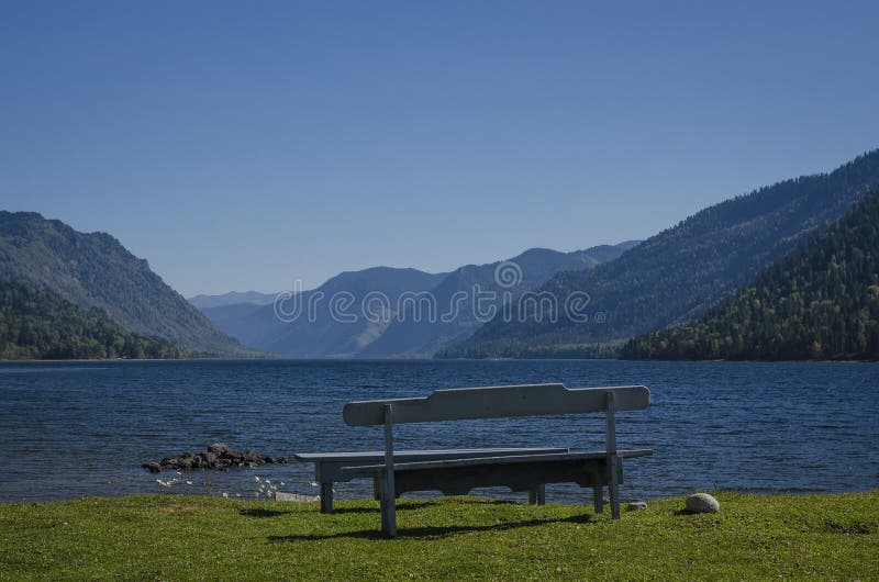 Bench on the lake stock image. Image of bench, land, water - 62825351