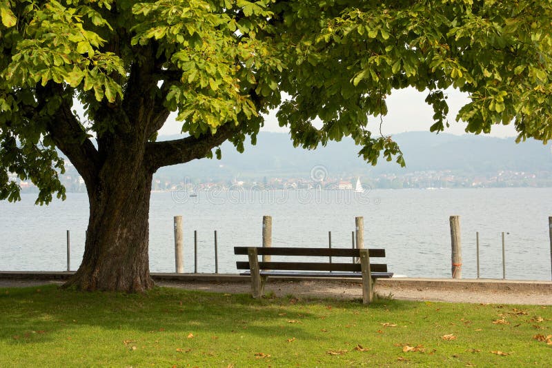 Bench at the lake 2 stock image. Image of nature, lakefront - 39764227