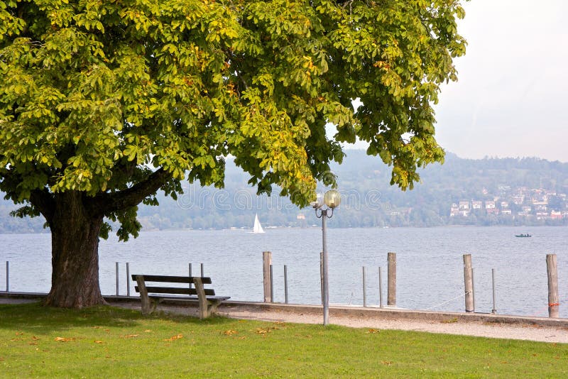 Bench at the lake stock image. Image of grass, lakefront - 39764303