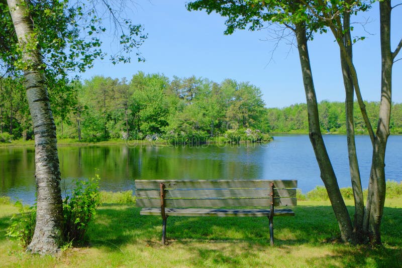 Bench with Lake View stock photo. Image of shore, summer - 50865016