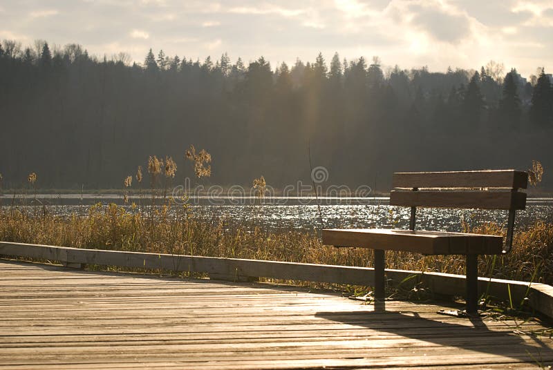 Bench on Lake Walkway stock image. Image of burnaby, lake - 3724509