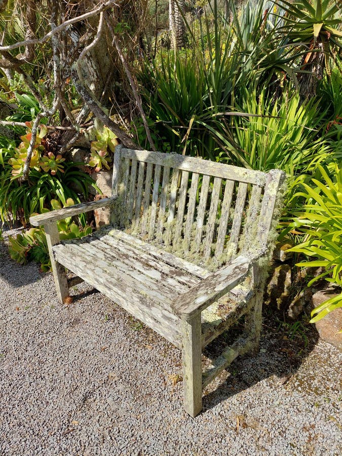 Bench with Lichen in the Sunshine Stock Image - Image of nature, wood ...