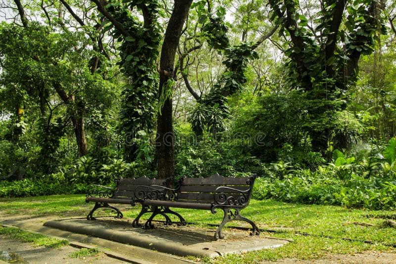 Bench Located by Walkway Under the Big Tree in the Park Stock Image ...