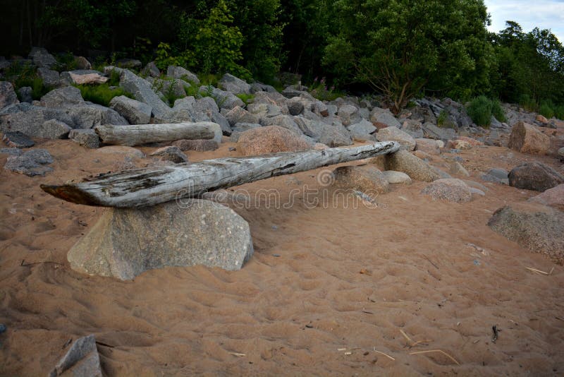 A Bench from a Log on the Beach Behind a Tree Stock Image - Image of ...