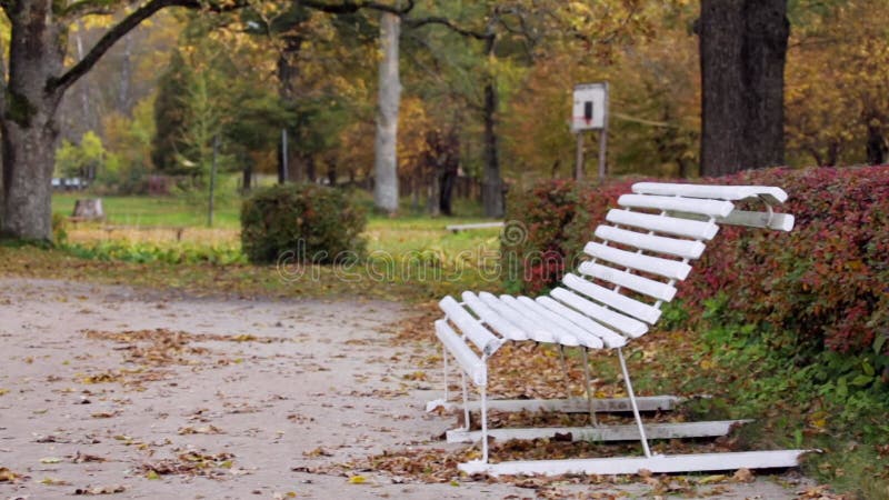 White Old Fashioned Bench in Park in Autumn with Falling Leaves Stock ...