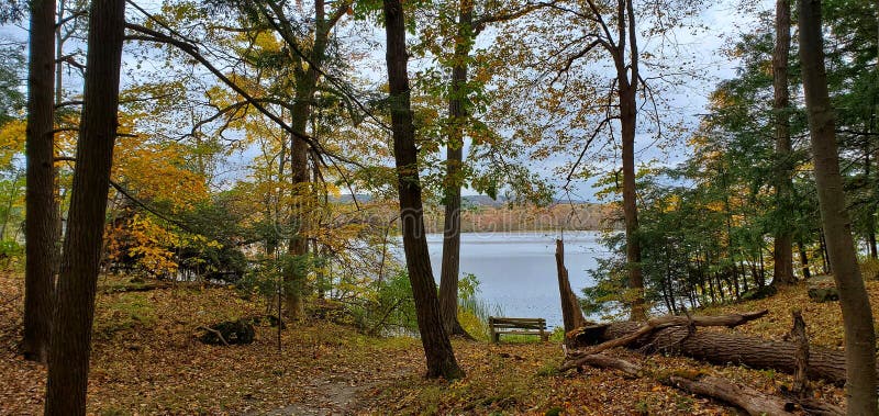 Bench Looking at Lake with Fall Foliage Stock Image - Image of fall ...