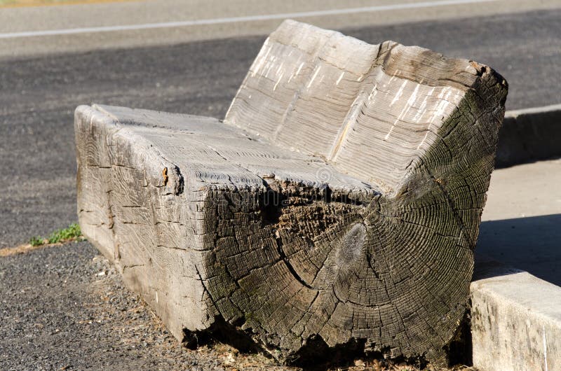 Bench with a trunk stock image. Image of bench, tree - 29894735