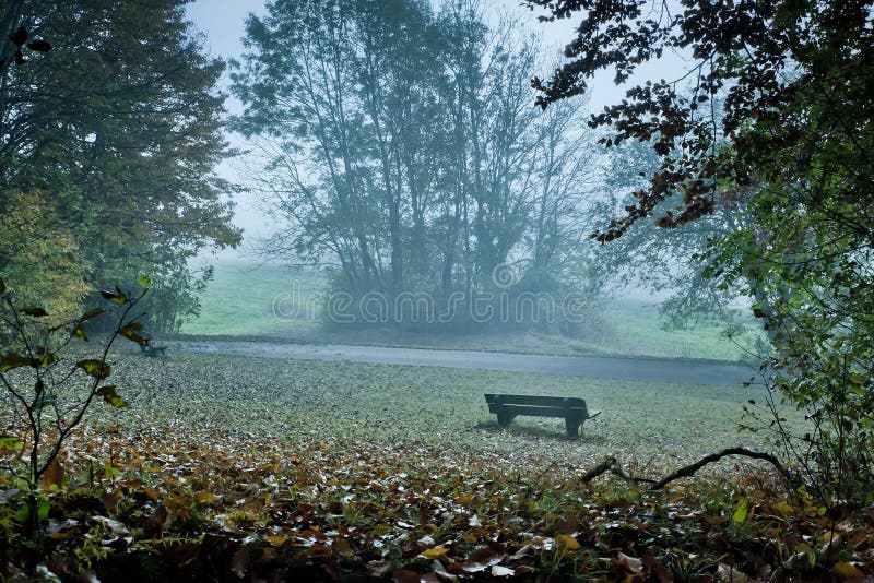 Bench in mist stock photo. Image of bench, magic, autumn - 21974624