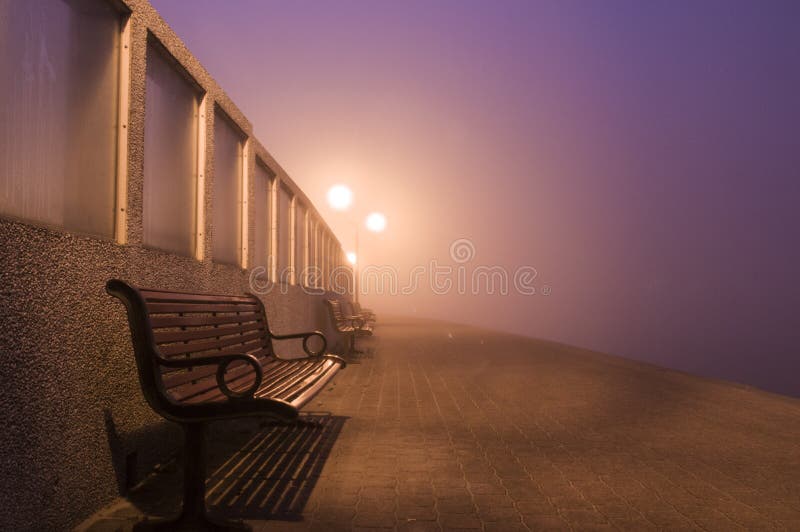 A bench in the mist stock photo. Image of warm, looking - 67435678