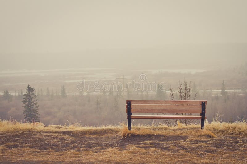 Bench in the Mist stock image. Image of glenmore, head - 32728709