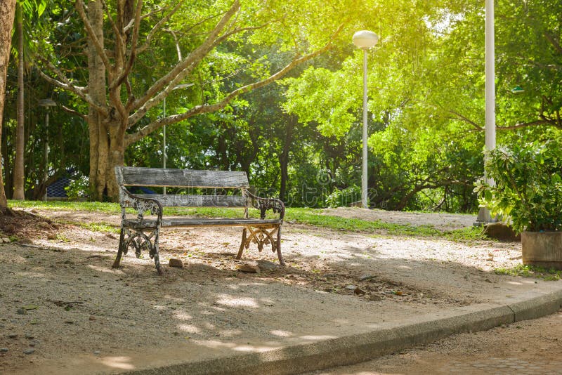 Bench in a morning park stock image. Image of pedestrian - 77943871