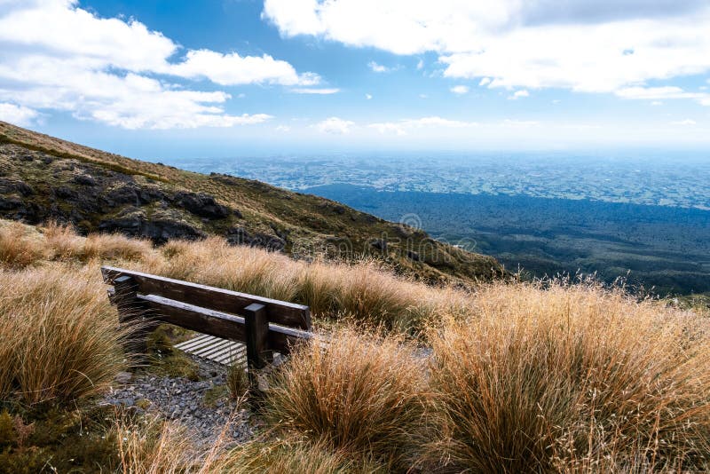 Bench with Rocky Mountain View Stock Photo - Image of hillside, grove ...