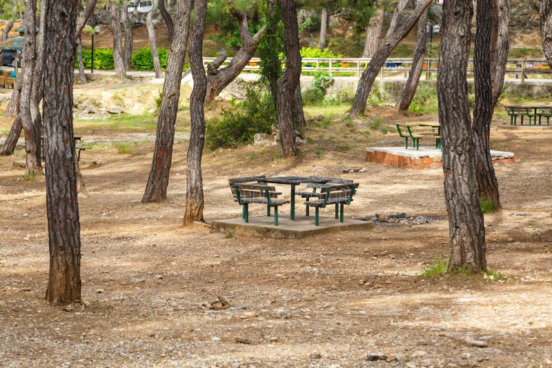 Bench in Natural Park stock image. Image of sitting, environment - 72724797
