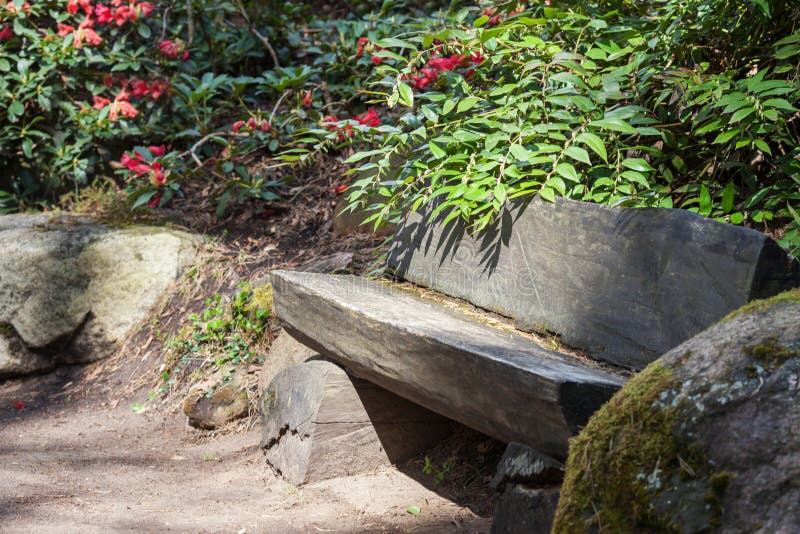Bench from Natural Wood in Summer Park Stock Image - Image of autumn ...