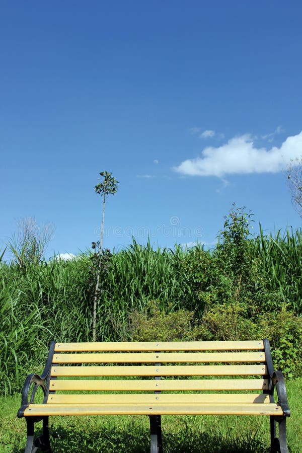 Bench in Nature stock image. Image of clouds, bench, iamge - 27329221
