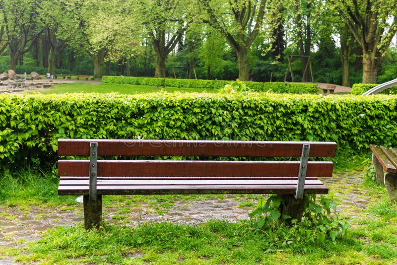 Bench nature park spacious stock image. Image of silence - 91666781