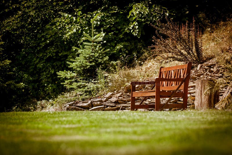Bench in nature park stock image. Image of green, beautiful - 58437193