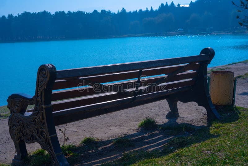 Bench Near the Lake and Trees Stock Photo - Image of forest, plant ...