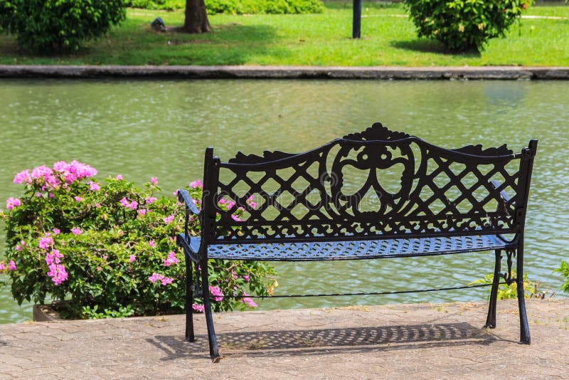 Bench Near the Lake in the Tropical Garden Stock Image - Image of bench ...