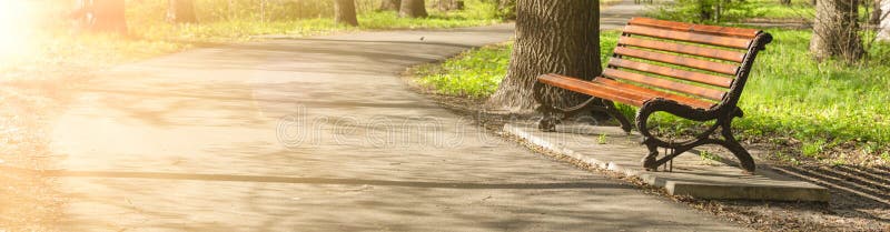 Bench Near the Path in the Park in the Sun Stock Image - Image of sunny ...