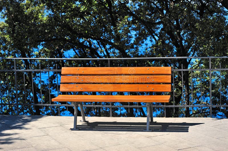 Bench Near the Water in the Park on a Sunny Day Stock Photo - Image of ...