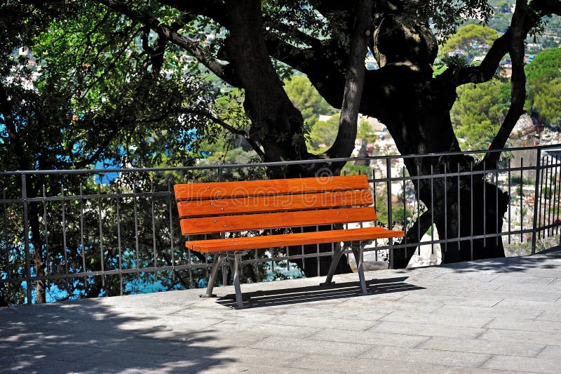 Bench Near the Water in the Park on a Sunny Day Stock Photo - Image of ...