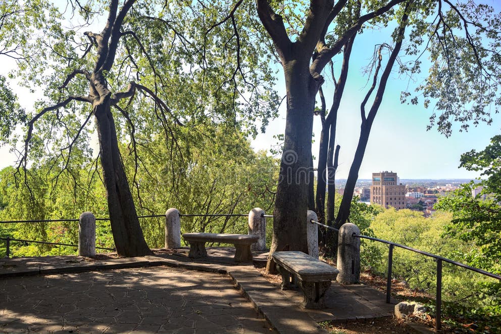 Bench Next To the Rail of a Panoramic Point in Park Stock Photo - Image ...