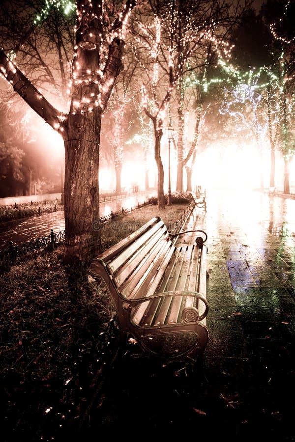 Bench in Night Alley with Lights in Odessa, Ukrain Stock Photo - Image ...