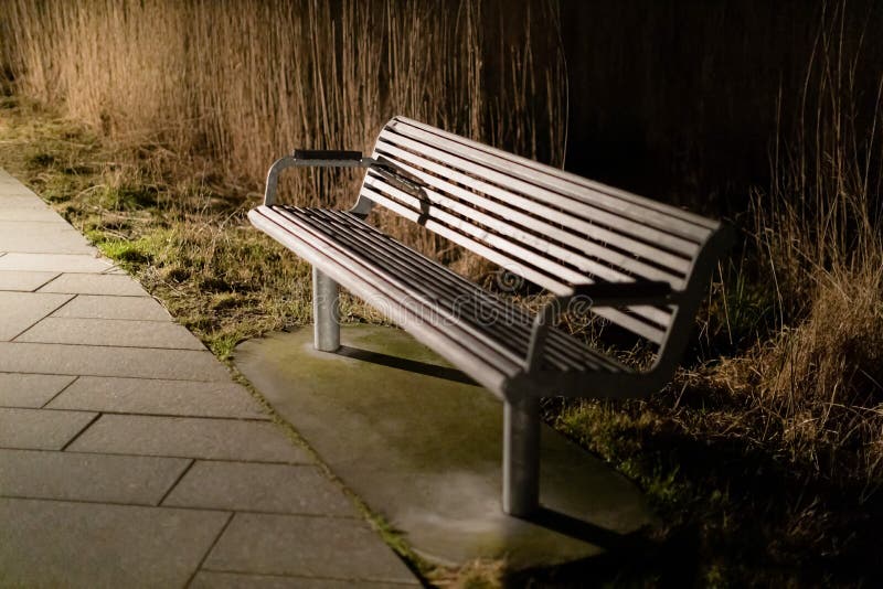 The Bench at Night in a Dark Park - Europe Denmark Stock Image - Image ...