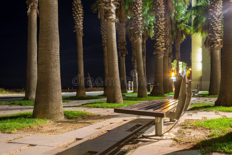 Bench in the night stock photo. Image of autumn, leaf - 36122718