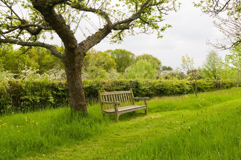 Path in garden stock photo. Image of path, color, leaves - 31360636