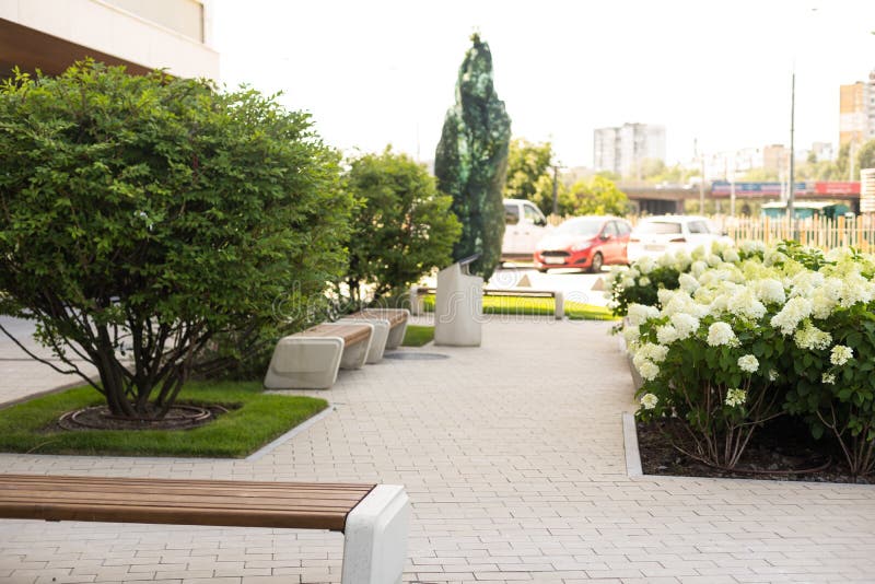 A Bench Over Beautiful Outdoor Landscape. Stock Image - Image of tree ...