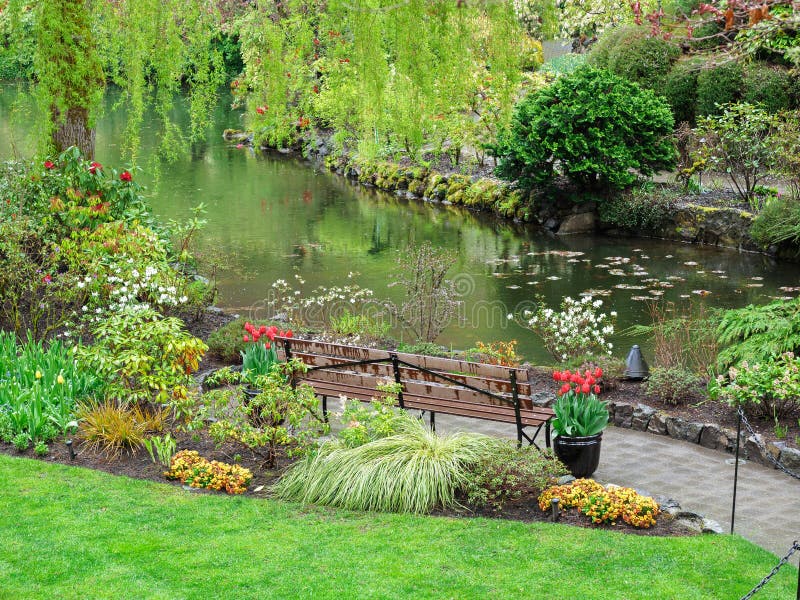 Bench Over a Lake in the Spring Stock Photo - Image of bloom, outdoor ...