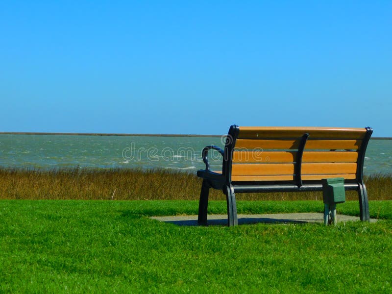 Bench over looking water stock photo. Image of looking - 172166122