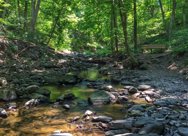 Bench over the Stream stock image. Image of river, bench - 74138725
