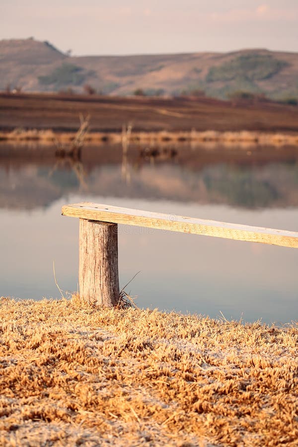 Bench overlooking lake stock image. Image of grass, water - 9845455