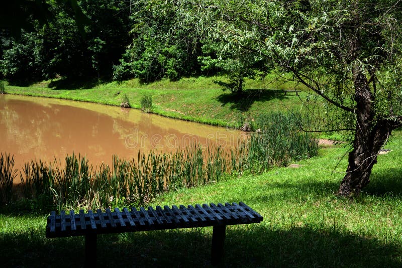 Bench overlooking pond stock photo. Image of overlooking - 55830628