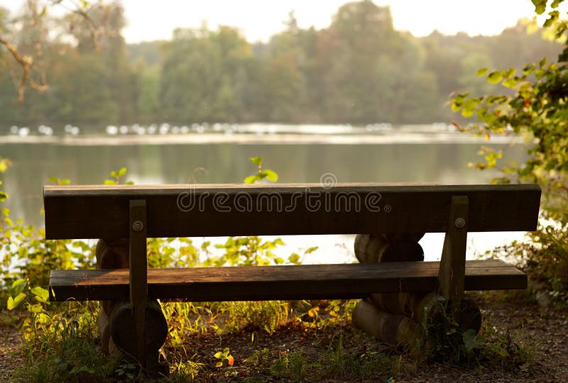 Bench overlooking river stock photo. Image of bench, summery - 11278912