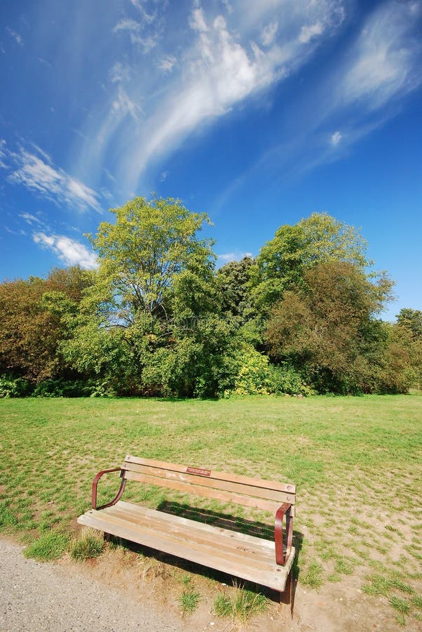 Bench in the park stock image. Image of hill, dialog - 11167017