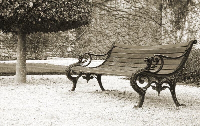 Side View of Bench in Garden Stock Photo - Image of contemplate ...