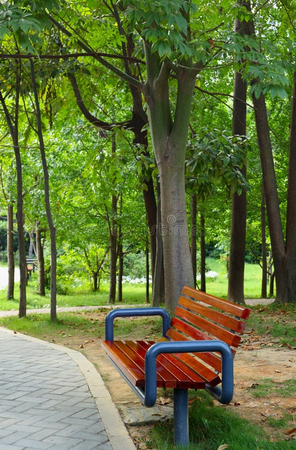Bench in park stock photo. Image of beautiful, accessibility - 16794768