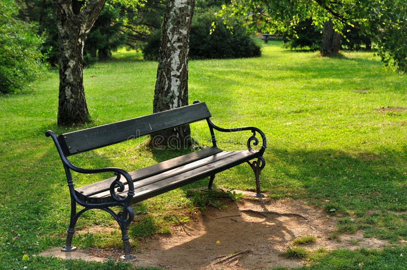 Bench in park stock image. Image of summer, spring, rest - 20601245
