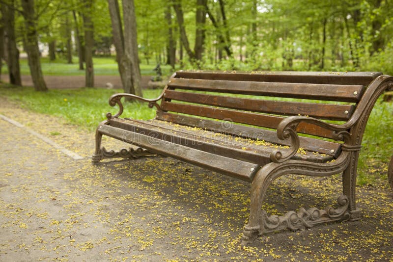Bench in park stock image. Image of bench, outdoor, park - 9490483