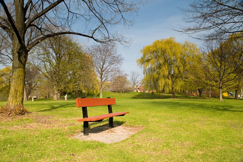 Bench In The Park. Picture Image: 18813829