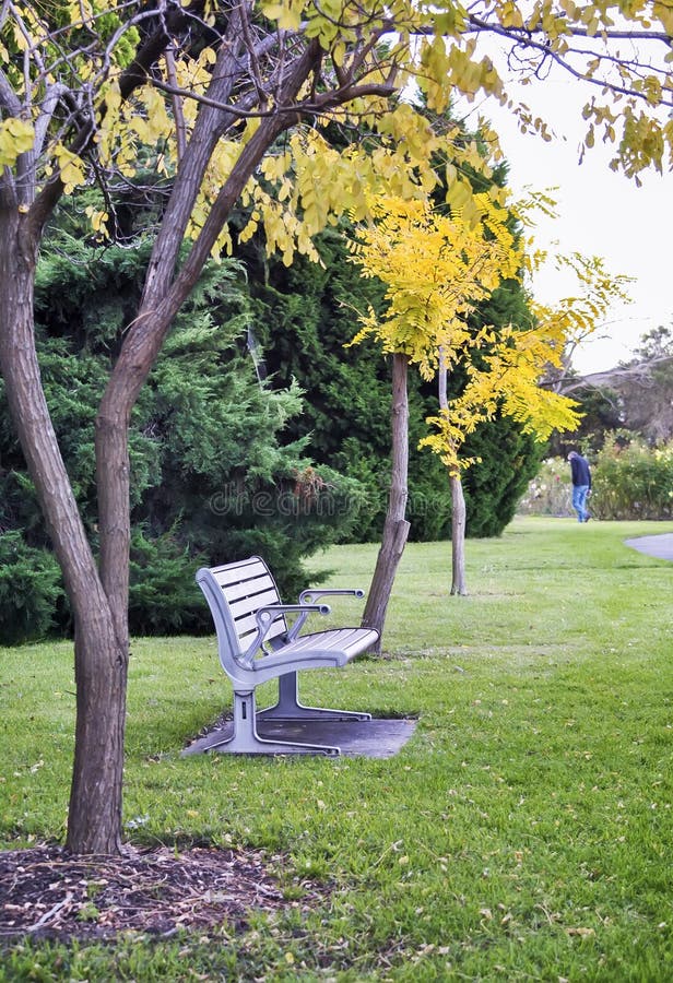 Bench in park stock photo. Image of leisure, green, morning - 77863600