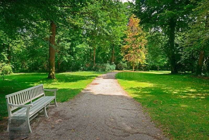 Green Tree Lined Path in Park Stock Image - Image of cycling, lane ...