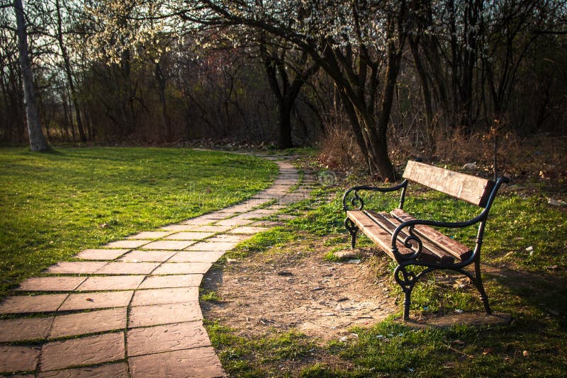 Bench in the Park, Beginning of Spring Stock Image - Image of landscape ...