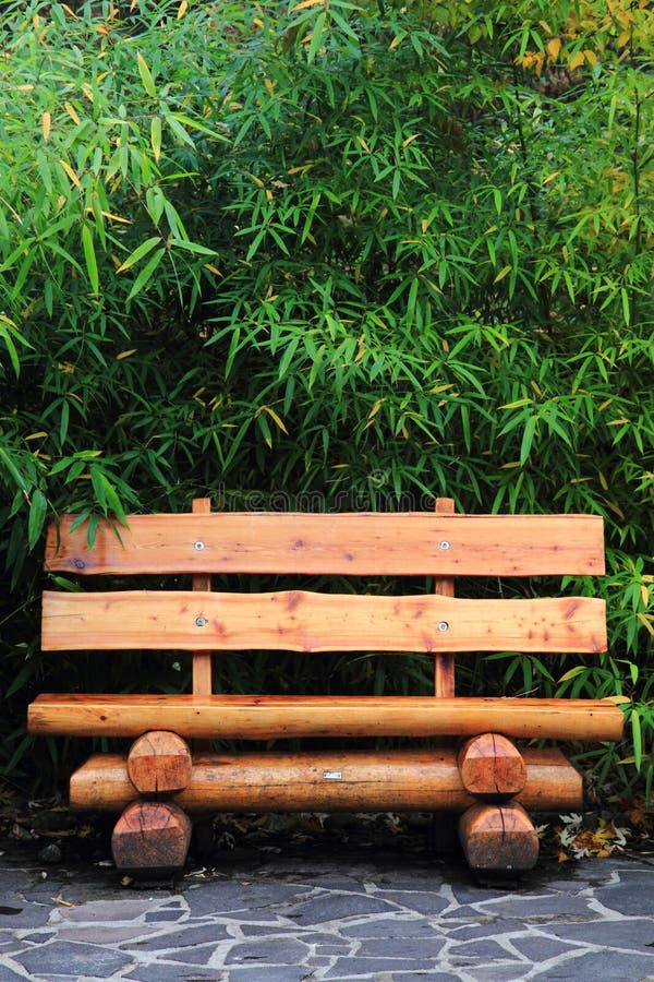 Bench in the park stock photo. Image of nature, tree - 100577294