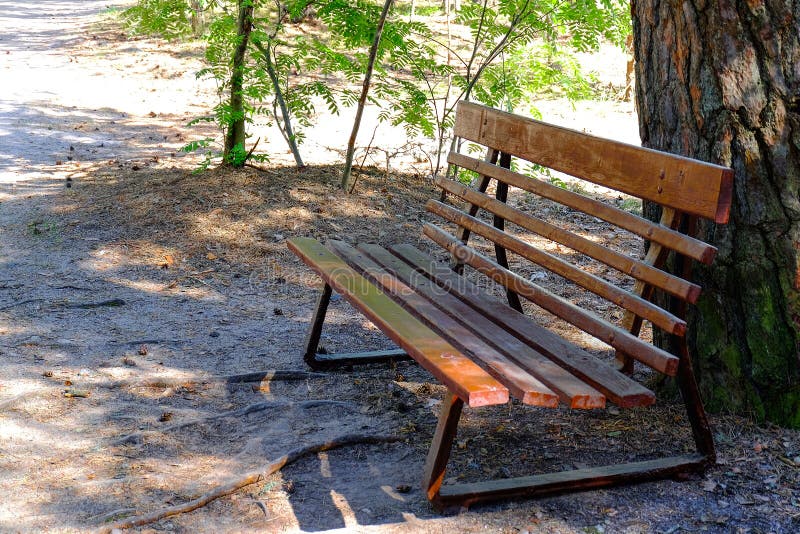 Bench in the Park stock image. Image of icon, leaf, fall - 118017369